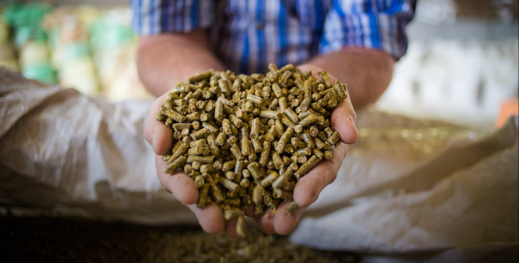 Nutrition Animale – TERDICI